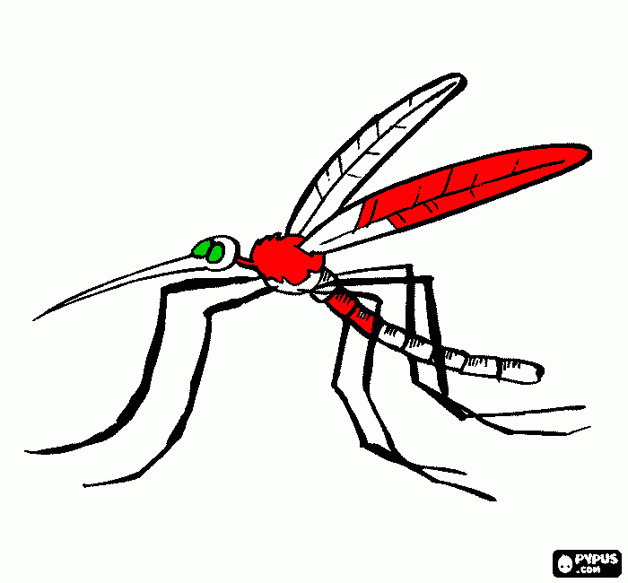 Imagen para colorear del mosquito del dengue - Imagui