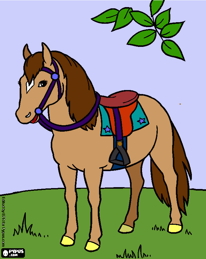 pocotó pocotó para imprimir , desenho pocotó pocotó